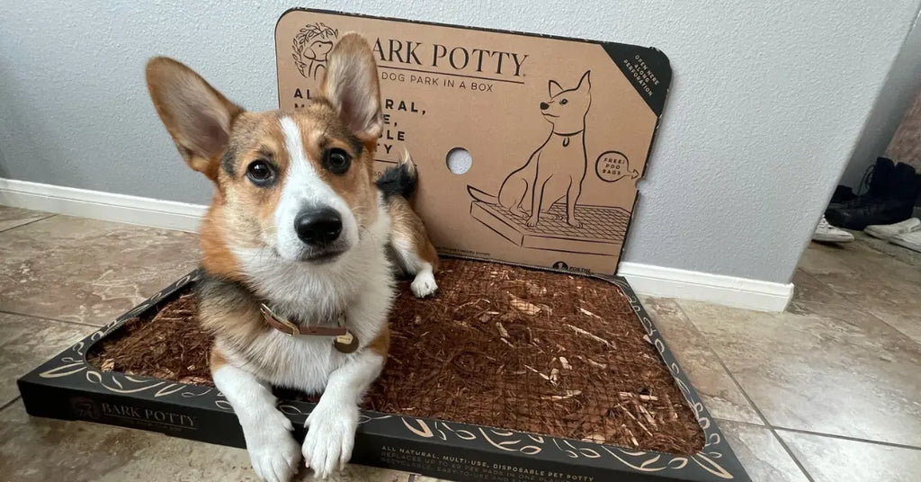 Dog Paw Callus Tips - Soothe & Heal Pads | Bark Potty