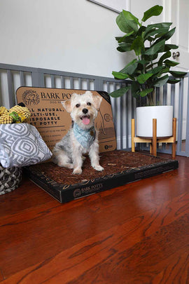 Bark Potty: Dog Potty Patch & Toilet for Puppies