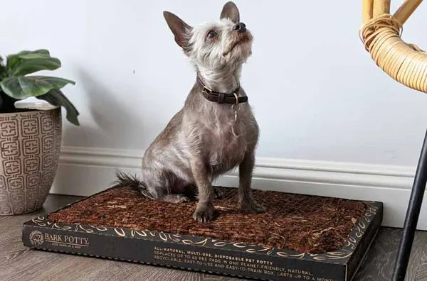 Bark Potty: Dog Potty Patch & Toilet for Puppies