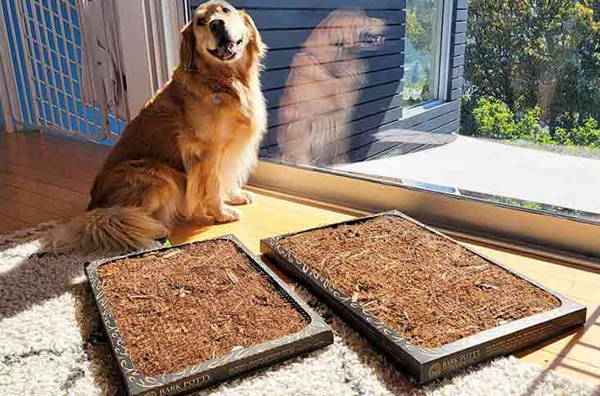 Bark Potty: Dog Potty Patch & Toilet for Puppies