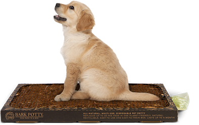 Bark Potty: Dog Potty Patch & Toilet for Puppies