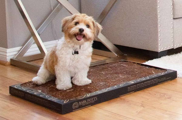 Bark Potty: Dog Potty Patch & Toilet for Puppies