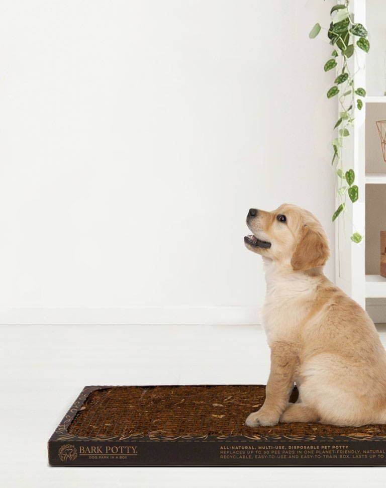 Bark Potty: Dog Potty Patch & Toilet for Puppies
