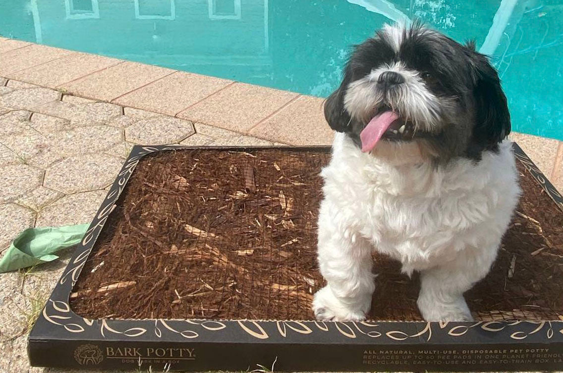 Bark Potty: Dog Potty Patch & Toilet for Puppies