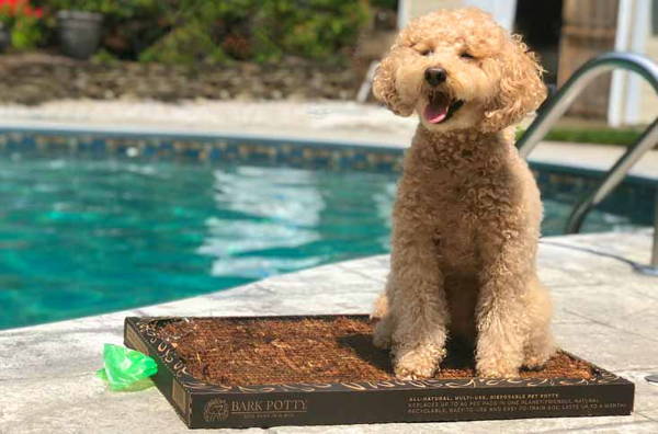 Bark Potty: Dog Potty Patch & Toilet for Puppies