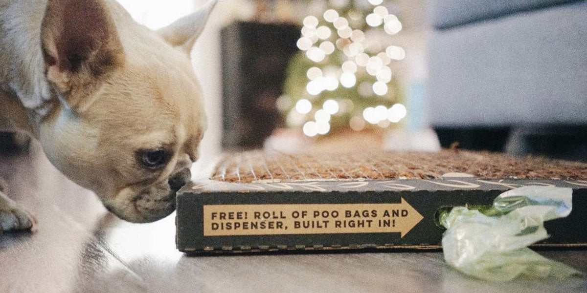 Bark Potty: Dog Potty Patch & Toilet for Puppies